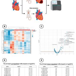 Next Generation Sequencing NGS Experiment A Schematic Overview Of Download Scientific