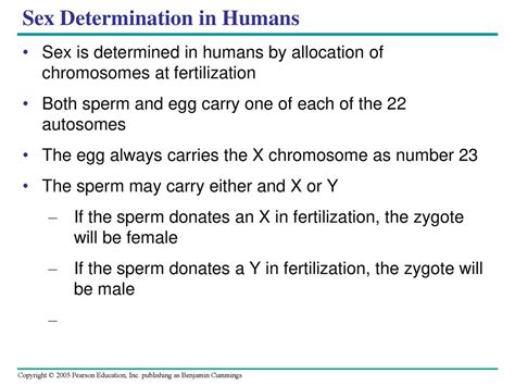 Ch12 Chromosomal Basis Of Inheritance Ppt Download Ch12 Chromosomal Basis Of Inheritance Ppt Download