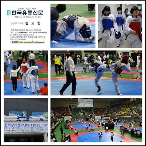 태권도뉴스 제44회 협회장기 전국단체 대항 태권도 대회 구미 박정희 체육관에서 성황리에 열려 영남 한국유통신문