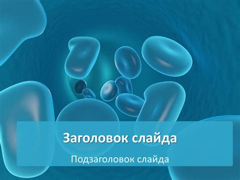 Бесплатные шаблоны для презентации по биологии