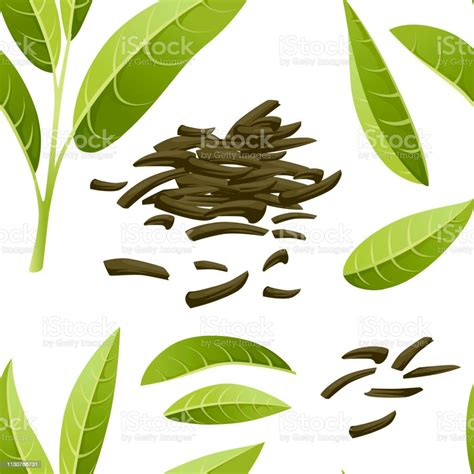 완벽 한 패턴입니다 신선한 차 잎과 더미 드라이 차 디자인 광고 및 포장을 위한 녹차 흰색 배경에 고립 된 평면 벡터 일러스트