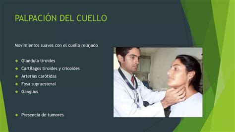 Examen Físico Del Cuello Pptx