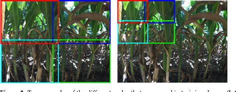 Figure From A New Dataset And Comparative Study For Aphid Cluster Detection And Segmentation