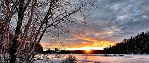 【论著】基于饮食及合并疾病的基层高尿酸血症预测模型构建 因素 居民 茹晋丽
