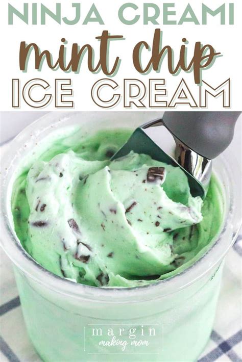 Ninja Creami Mint Chocolate Chip Protein Ice Cream The 42 Off