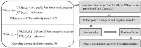 The Flow Diagram Of Ae Rf To Predict Potential Circrna Disease Download Scientific Diagram