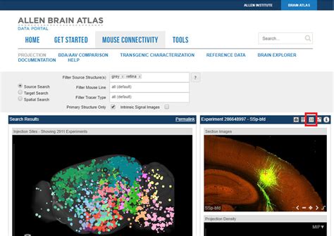 Allen Brain Explorer Beta User Guide Allen Brain Explorer Allen