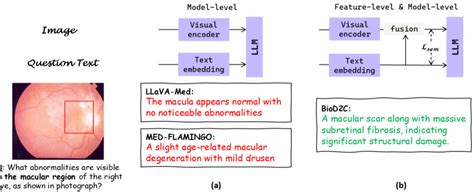 [논문 리뷰] Biod2c A Dual Level Semantic Consistency Constraint Framework For Biomedical Vqa