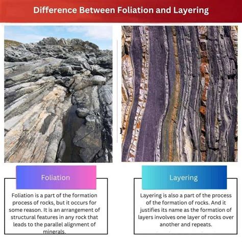 Foliation Vs Layering Difference And Comparison