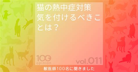 猫の熱中症対策 気を付けるべきことは？ 100opinion Vets Eye