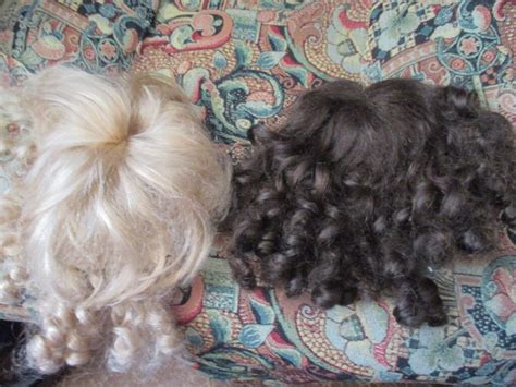 парички в дар Новосибирск Дарудар