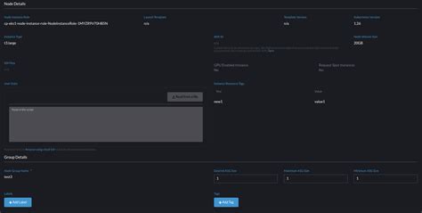 Eks Cluster Node Groups Instance Resource Tags Values Not Editable · Issue 9405 · Rancher