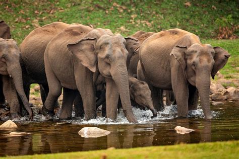 shiv iyer on linkedin how to identify strings that can be treated as numbers in postgresql using…