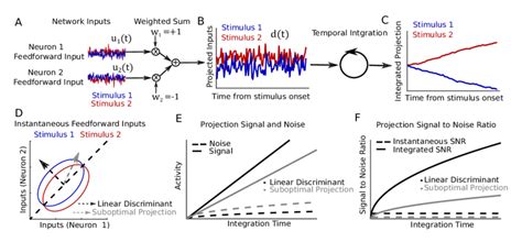Stimulus Discrimination Performance Depends On Temporal Integration Of Download Scientific