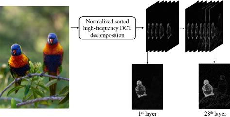 figure 1 from spatially varying blur detection based on multiscale fused and sorted transform