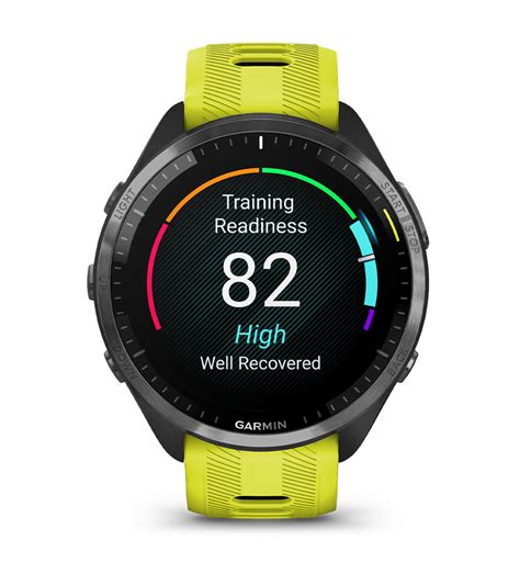 Garmin Forerunner 965 - Whitestone/Grey - Bushtukah
