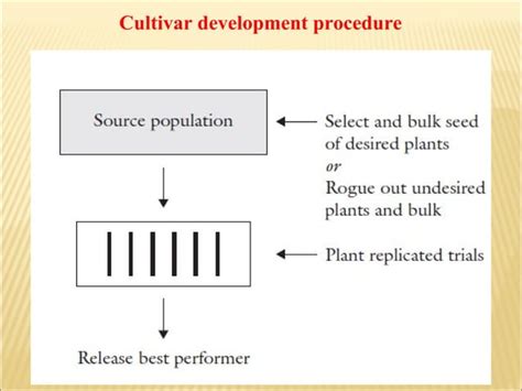 Breeding Self Pollinated Crops Ppt Agriculture Industries