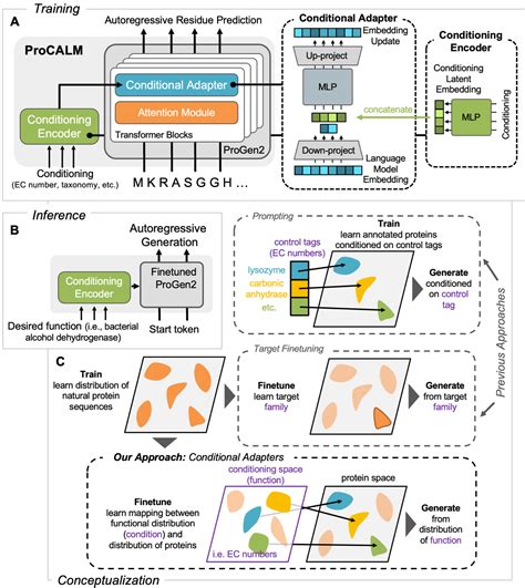 논문 리뷰 Conditional Enzyme Generation Using Protein Language Models