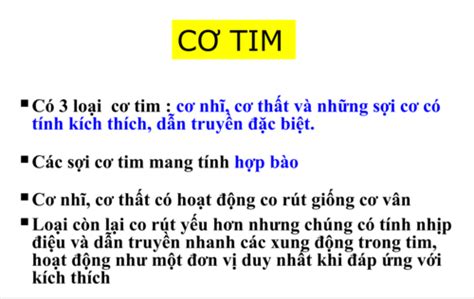 Thẻ ghi nhớ Sinh lý tim mạch Quizlet