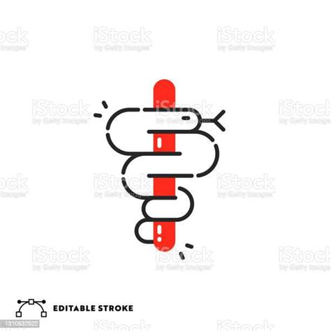 편집 가능한 스트로크가 있는 카두세우스 플랫 라인널 아이콘 뱀에 대한 스톡 벡터 아트 및 기타 이미지 뱀 의료 상징 건강 진단 Istock