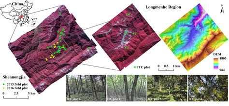 Figure 1 From Mapping Functional Diversity Using Individual Tree Based Morphological And