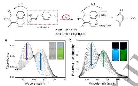 The Two Photon Excited Ratiometric Fluorescence Probes Acsh For Sensing Download Scientific