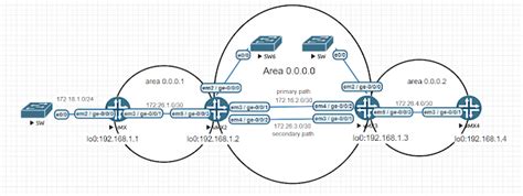 NetSysHorizon Juniper OSPF Lab Step By Step Configuration Of Multiple Areas And Redistribution