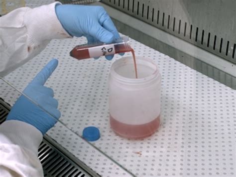 Video Isolation And Expansion Of Mesenchymal Stemstromal Cells Derived From Human Placenta Tissue