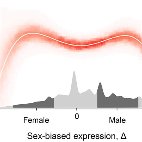 PDF Sex Specific Selection And Sex Biased Gene Expression In Humans And Flies