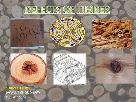 Defects In Timber Pptx