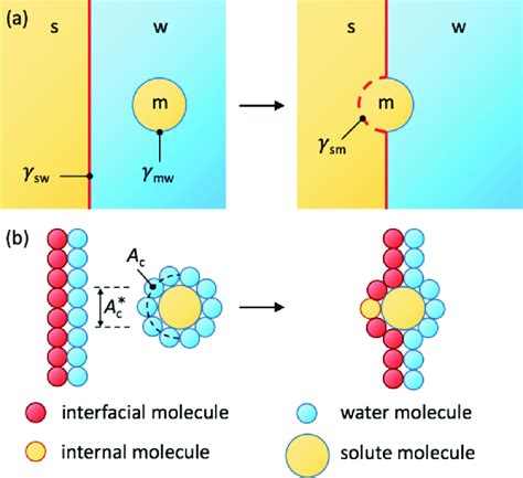 Schematic Depiction Of Molecular Adsorption To A Soft Surface A