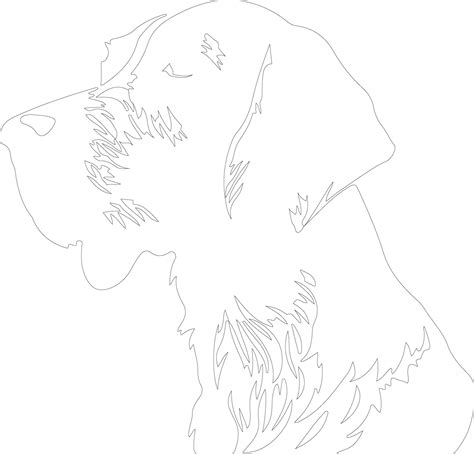 German Wirehaired Pointer Outline Silhouette 39057823 Vector Art At
