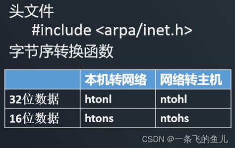 字节序及ip地址转换地址的小字节序转换 Csdn博客