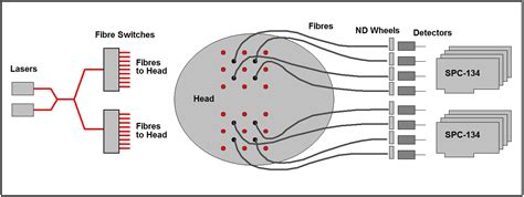 Functional Brain Imaging By TCSPC FNIRS