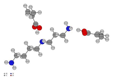 Conformations Of The Template Molecule And The Functional Monomer At