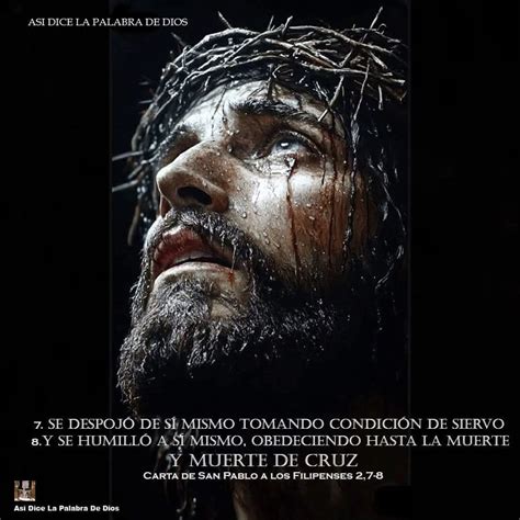Asi Asi Dice La Palabra De Dios Segunda Lectura La Biblia Comentada