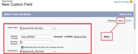 How To Create Auto Number Field Type In Salesforce