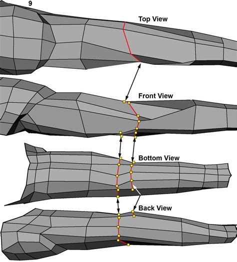 Modeling the Male Arm tutorial free3DTutorials com Topology Modélisation Charactere