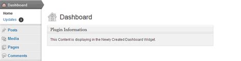 Wordpress Dashboard Widget Create Step By Step