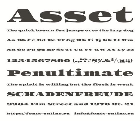 Asset Font