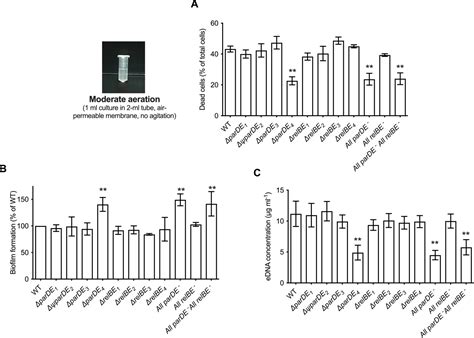Figures And Data In Edna Stimulated Cell Dispersion From Caulobacter Crescentus Biofilms Upon