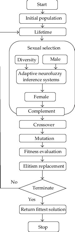 framework of neurofuzzy inference systems genetic algorithm download
