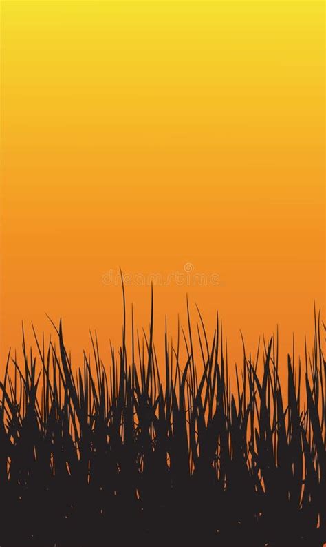 Grass Sunset Background Stock Illustration Illustration Of Grassland 38560861