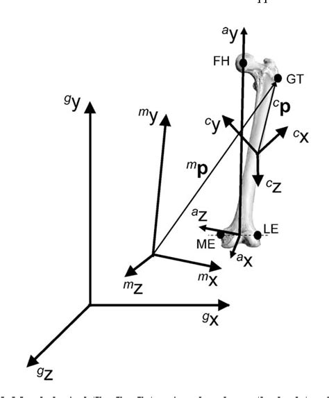 Figure 3 From Human Movement Analysis Using Stereophotogrammetry Part 1 Theoretical Background