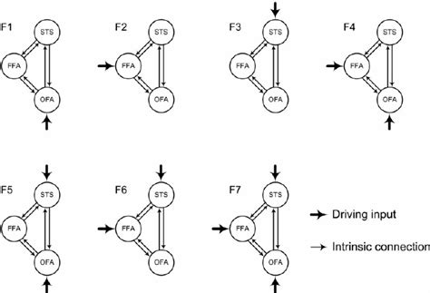 Seven Patterns Of Driving Input For Each Of The Recognition Task And Download Scientific