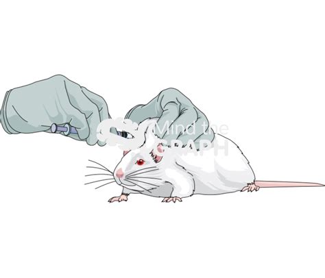Free Rat Subcutaneous Injection Frontal View Icons Symbols Pictures And Images Mind The Graph