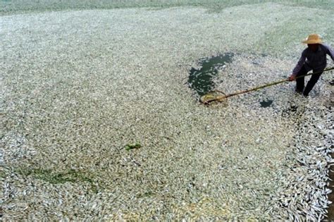 12 шокирующих фотографий загрязнения в Китае