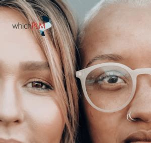 Get PLM Ready WhichPLM