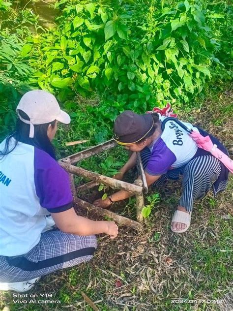 Pantawid Beneficiaries Participate In Sulat Clean Up Drive And Tree Planting Activities Field