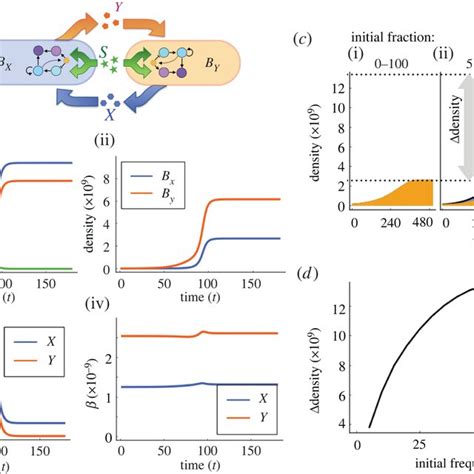 Numerical Simulations Of Population Dynamics Model A Schematic Of Download Scientific